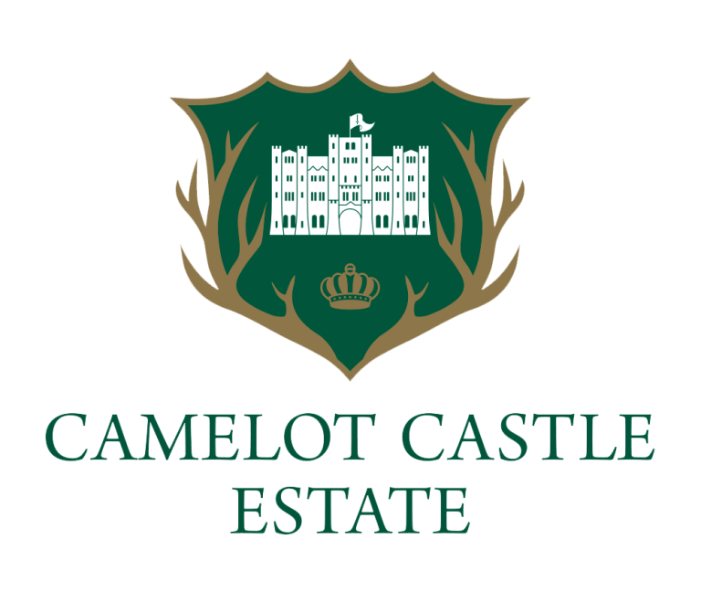 History & Restoration | The Story of Camelot Castle Tintagel